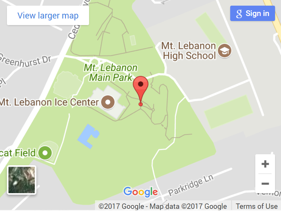 Eastern White Pine - Mt. Lebanon, PA