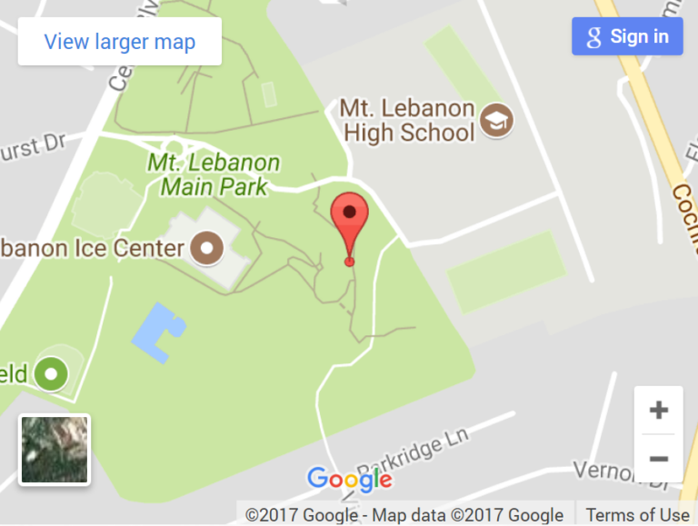 London Plane - Mt. Lebanon, PA